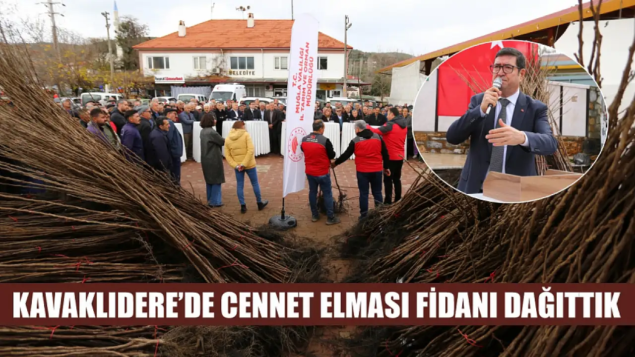 Kavaklıdere'de Cennet Elması Fidanı Dağıttık - Tarım - Görsel