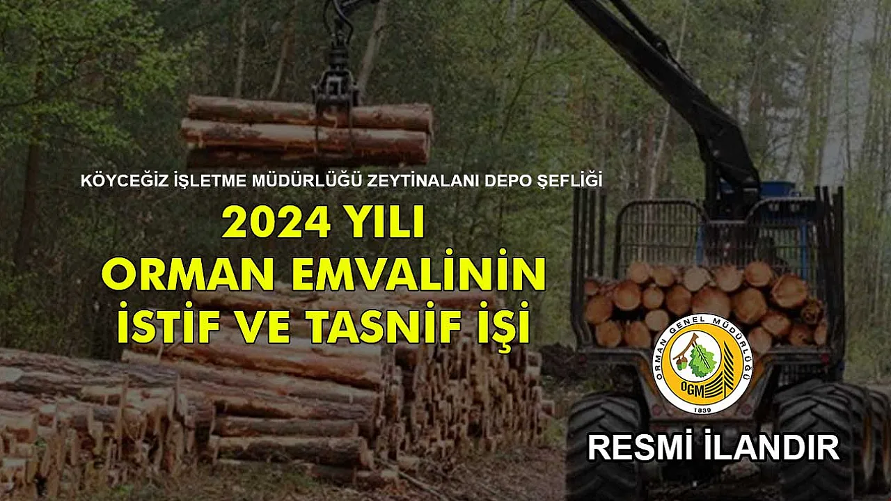 2024 YILI ORMAN EMVALİNİN İSTİF VE TASNİF İŞİ
