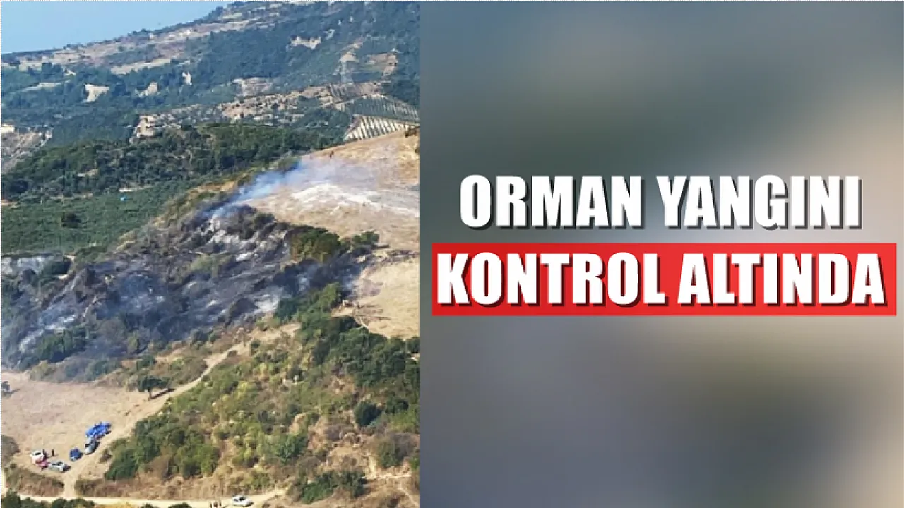 Köyceğiz'de Orman yangını kontrol altında