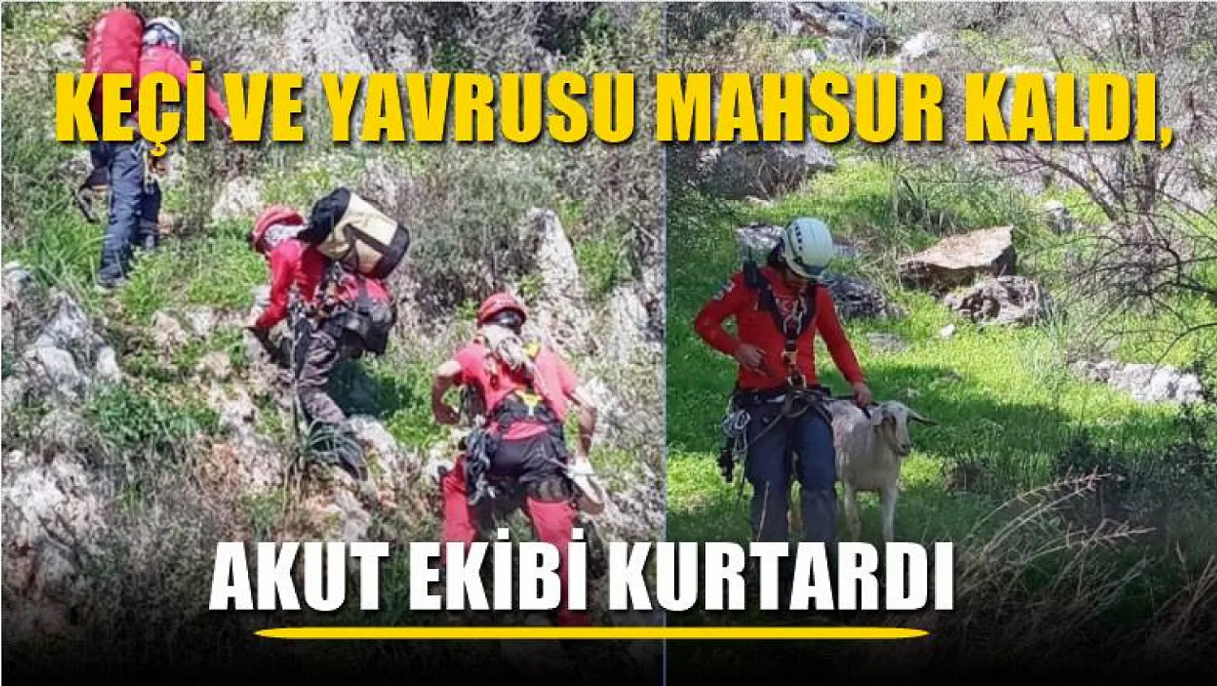 Keçi ve yavrusu mahsur kaldı, AKUT ekibi kurtardı